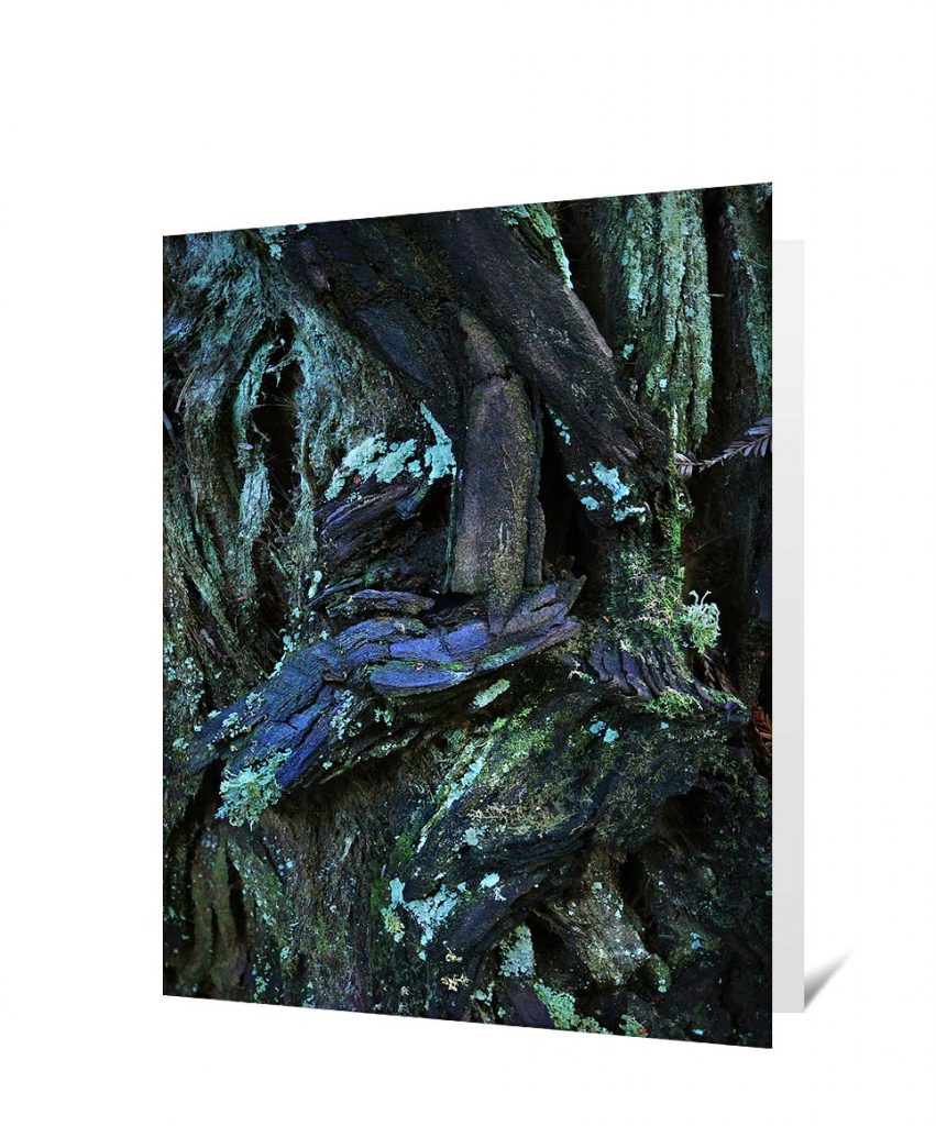 Tree Greeting Cards - The Art By Trees