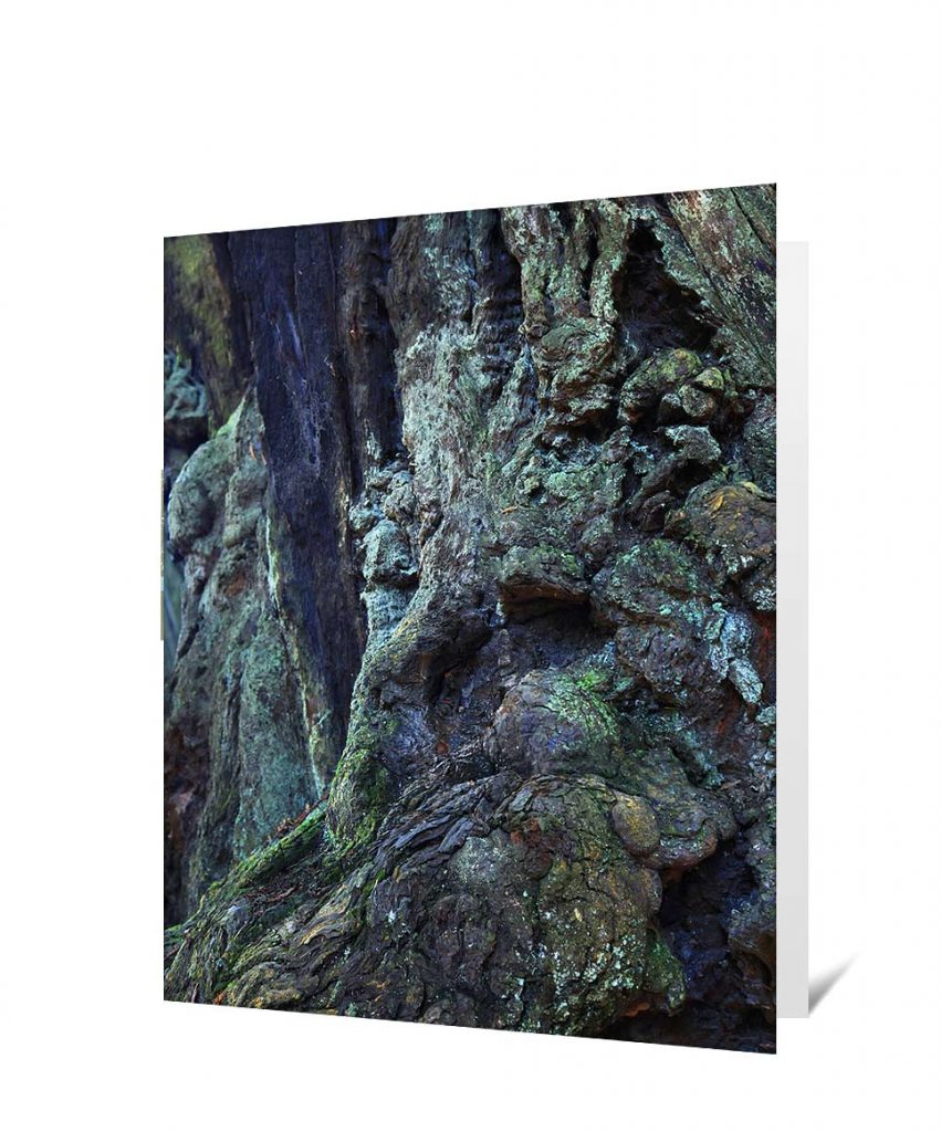 Tree Greeting Cards - The Art By Trees