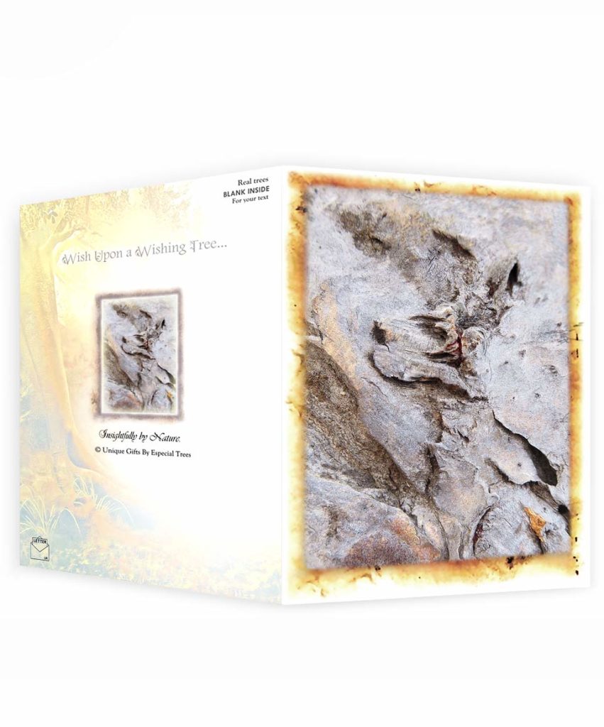 Tree Greeting Card Sku#2425648 | The Art Of Trees