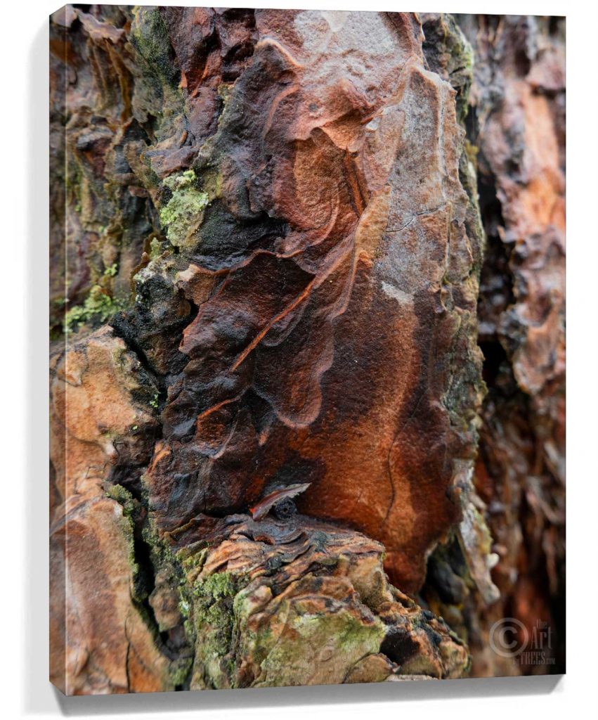 Tree Art Sample Sku#4387378